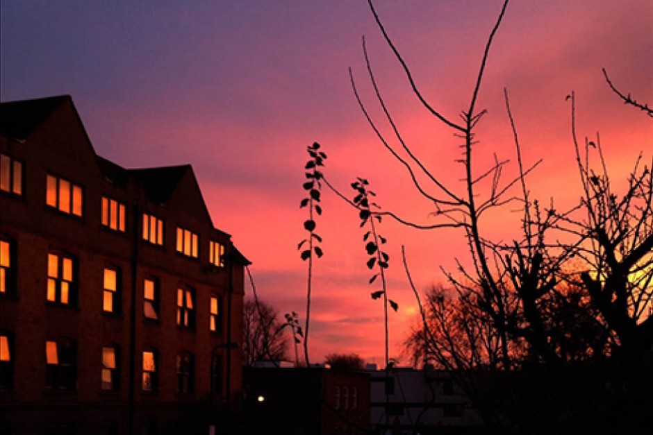 Amazing London Colours - planet elldrew